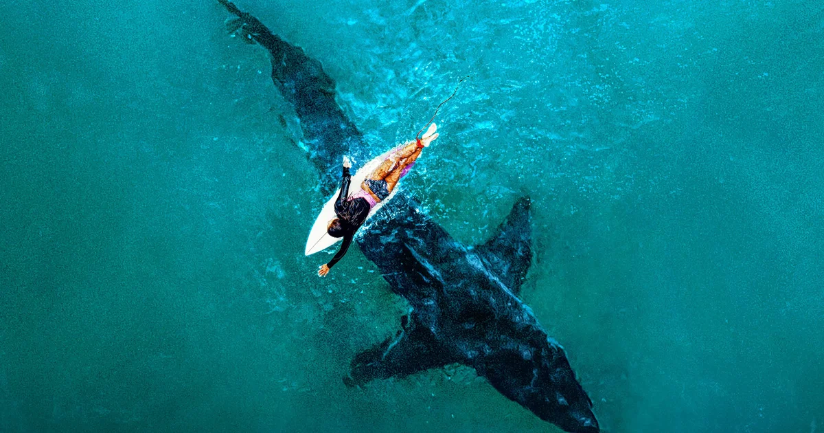 15 neue Specials: Shark Week startet diesen Sommer größer…